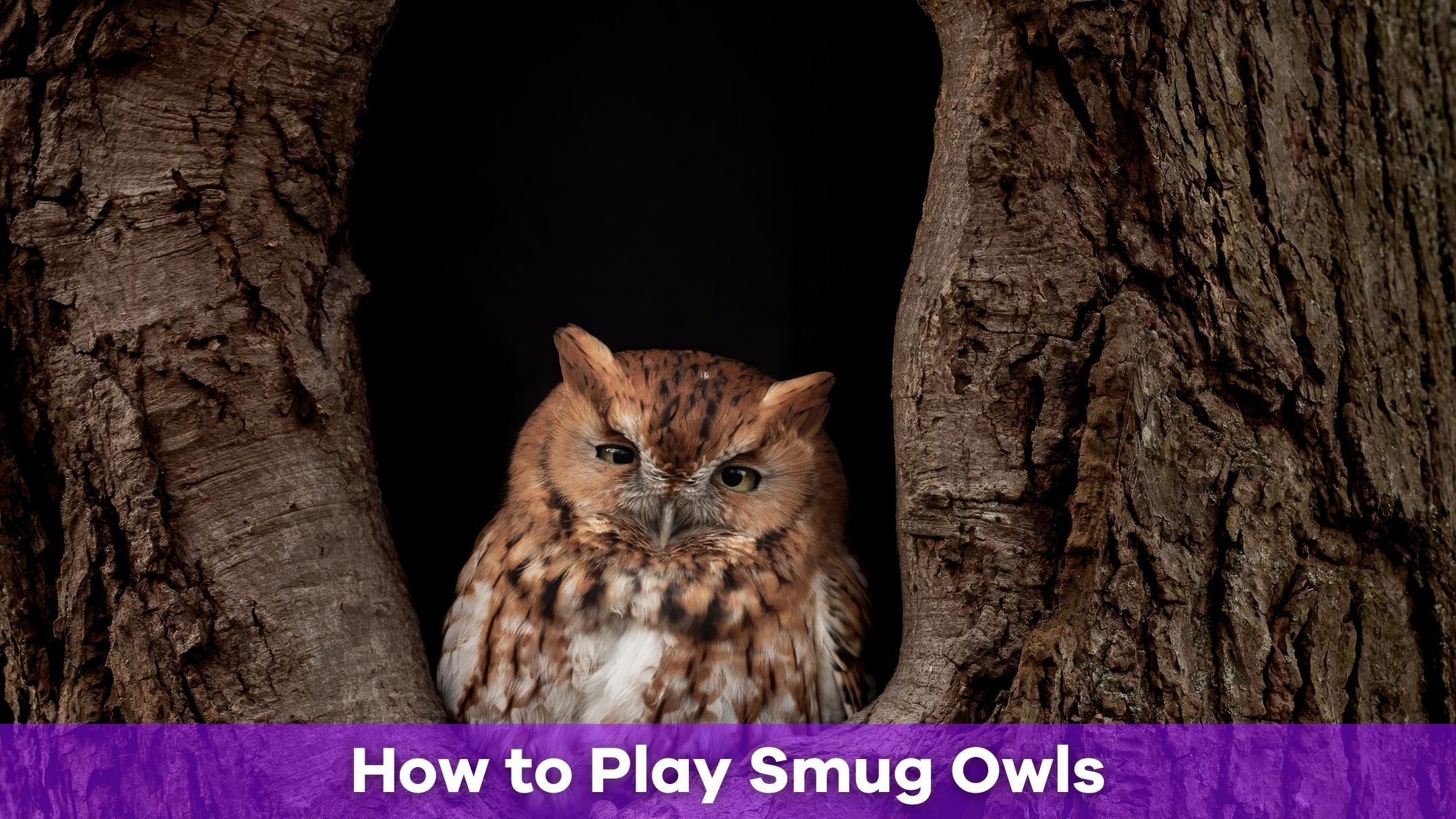 How to Play Smug Owls: A Quick Party Game Guide | Pick Me Up Game ...