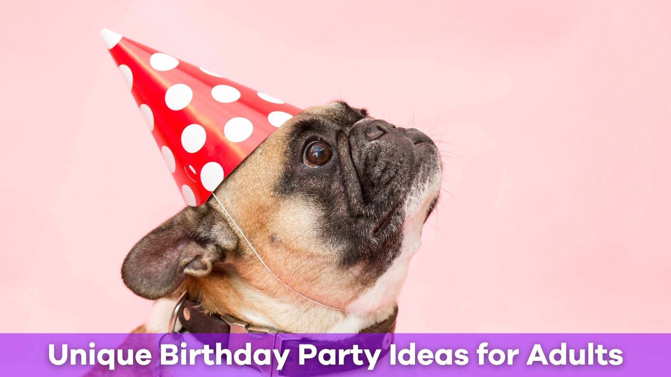 21 Unique Birthday Party Ideas for Adults | Pick Me Up Game – PickMeUp ...